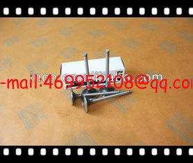 China Cummins Intake Valve 3920867 For 6BT supplier