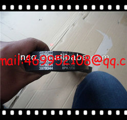 China CUMMINS BELT 3979344,CUMMINS ENGINE SPARE PARTS supplier