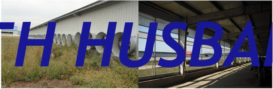poultry house/greenhouse Poultry fan heating machine for industry