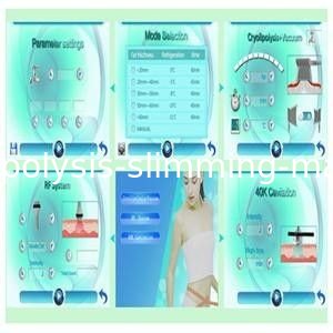 High-quality Multifunction Cryolipolysis Slimming Machine for Body Slimming / Refirming