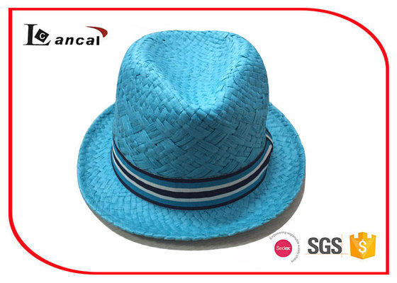 Boys Blue Wide Brimmed Straw Hat