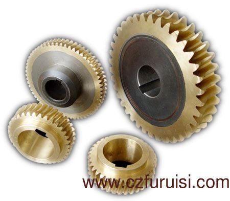 China best quality manufacturer produce brass worm gear