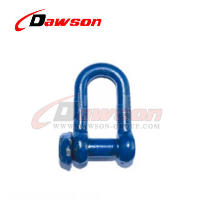 Trawling Dee Shackle Oversized Square Head with Blue Painted