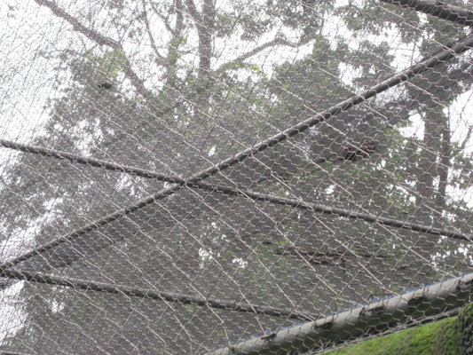 Monkey cage, animal cage, cable cage-stainless steel rope mesh