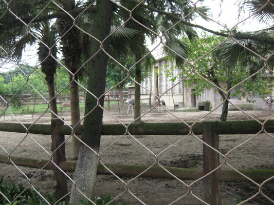 DEER ENCLOSURE MESH