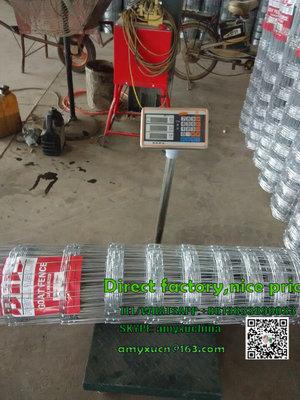 High Tensile Cattle Fence & Woven Wire Fencing  from HR COMPANY MANUFARCURE