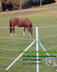 Fencing, Field Fence, Horse Fence, Welded Wire, Barbed wire，Fixed Knot Game & Cattle Fence for sale