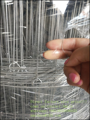 cheaper pvc coated Agricultural Fencing Wire Fencing Stock ,HR Fencing sheep fence wire, goat fenceing wire for sal