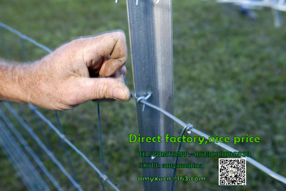 Wire Stock Fencing 0.8m x 50m C8/80/15 - Pig Lamb Sheep Dog RABBIT FENCE FOR SALE