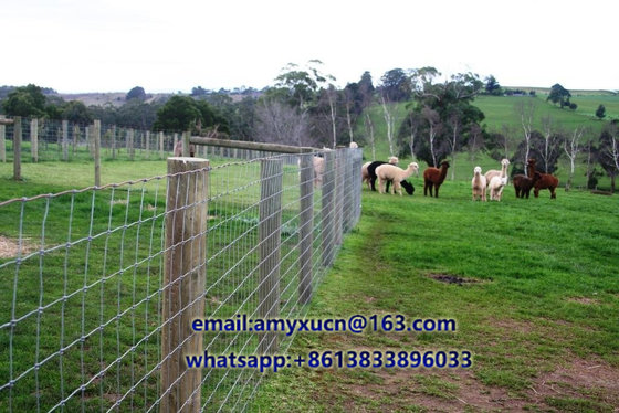 chicken wire fence, rabbit wire fence, horse wire fence, dog wire fence for sale