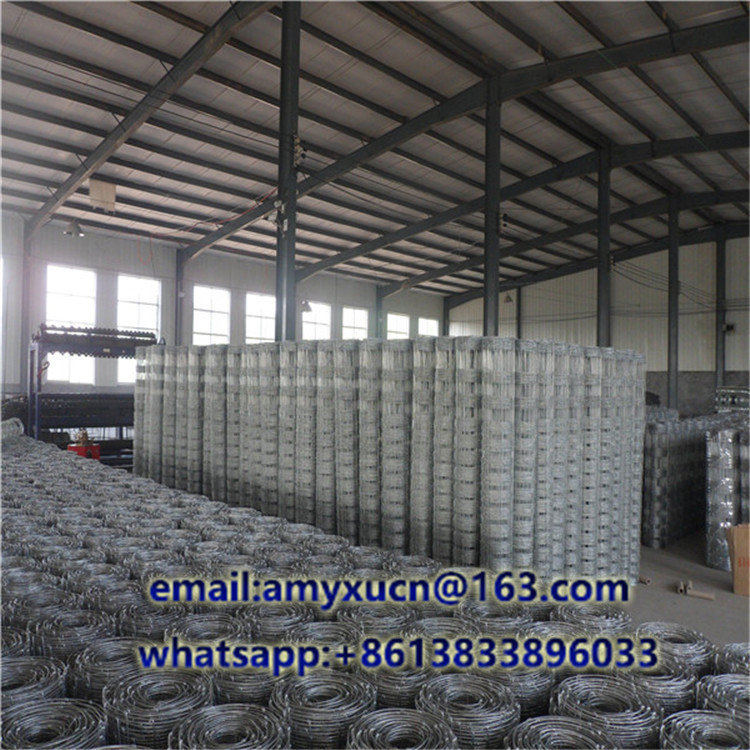 glavanized wire fixed knot wire fence ,farm field fence, cattle wire fence, hinge joint  fence, sheep wire fence