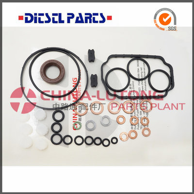 Bosch Fuel Injection Pump Repair Kits 1 467 010 467 800159 For Diesel Pump Repair