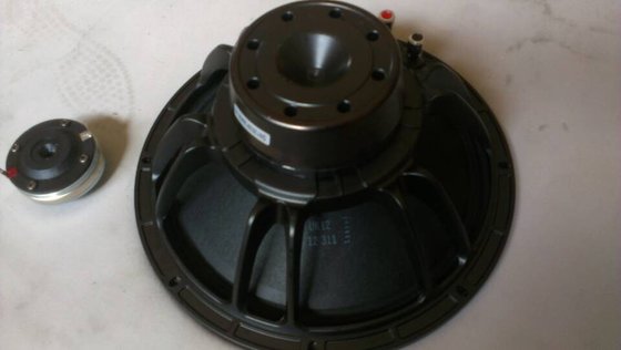 12" 21Kg pequeña línea prenda impermeable gris de la caja del altavoz del arsenal para Pasillo, línea subwoofer del arsenal