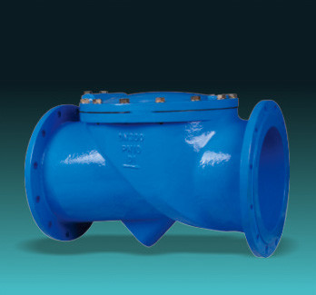 Check valves