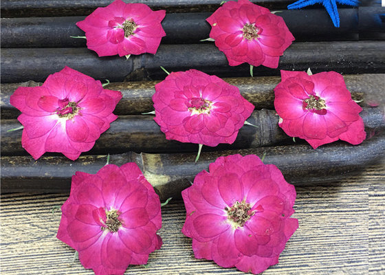 Red Rose Natural Dried Flowers Vacuum Packing Diameter 3 - 3.5CM For Wedding Decoration