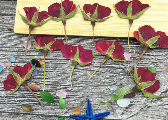Red Dried Rose Petals Crafts , Dried Rose Buds Crafts For Cell Phone Case