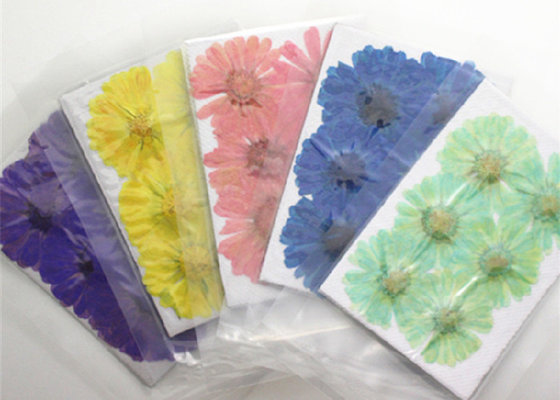 Calendula Pressed Dried Flower Art Diameter 4 - 6 CM Natural Plant For Wedding