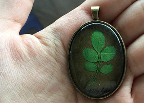 Home Decoration Small Pressed Flowers , Pressed Flower Gifts For Necklace Accessories