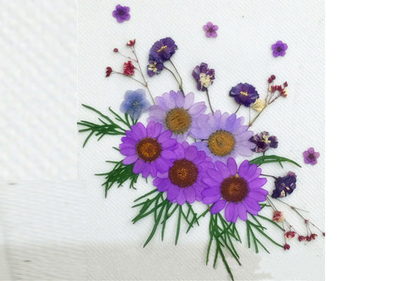 Colorful Framed Pressed Flowers Arrangement Daisy / Leaves / Fern For DIY Decoration