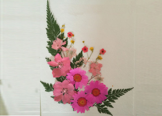 Daisy / Larkspur Natural Dried Flower Arrangements For DIY Handicraft