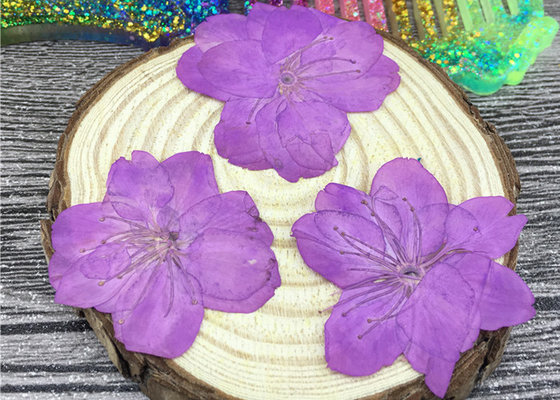 Grade A Framed Pressed Flowers For Chinese Style Gift / Blank Bookmarks