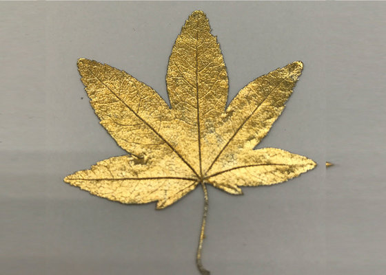 Maple Gold Dried Flowers , Large Dried Flowers For Wooden Photo Frame Ornament