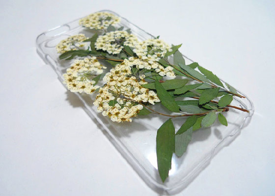 Dried Pink Flowers Narcissus With Stem , Pressed Flower Ornaments For Cell Phone Beautify