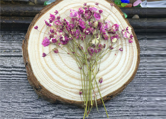 DIY Handmade Long Dried Flowers , Babys Breath Materials Real Dried Flowers