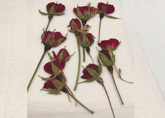 Rose Bud Small Dried Flowers 1.5CM Head Raw Material For Candle Beauty