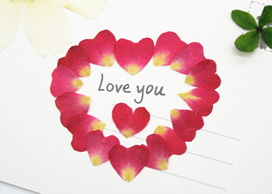 Red Rose Petal Real Dried Flowers Diameter 1CM For Wedding Card Decoration
