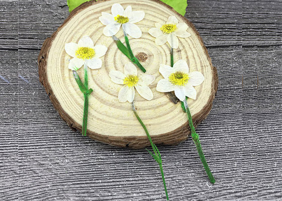 Small Hand Pressed Flowers  , Dried White Flowers For DIY Ornaments Gems