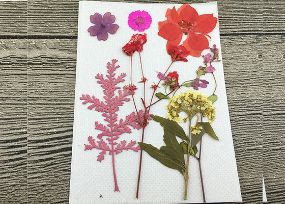 Natural Plant Pressed Bridal Bouquet , Raw Material Dried Wedding Bouquet