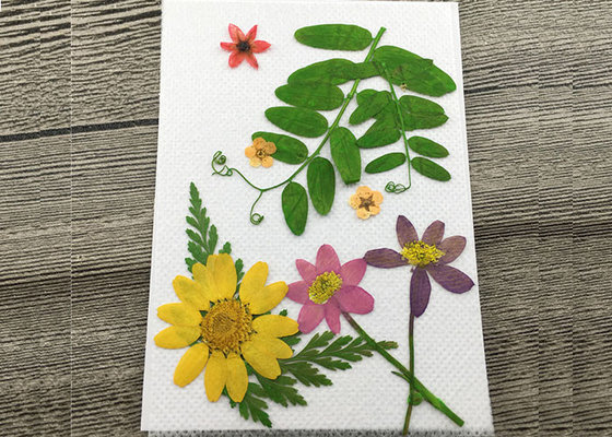 Flower / Leaf Mixed Pressed Flower Bouquet For Christmas Card Decoration