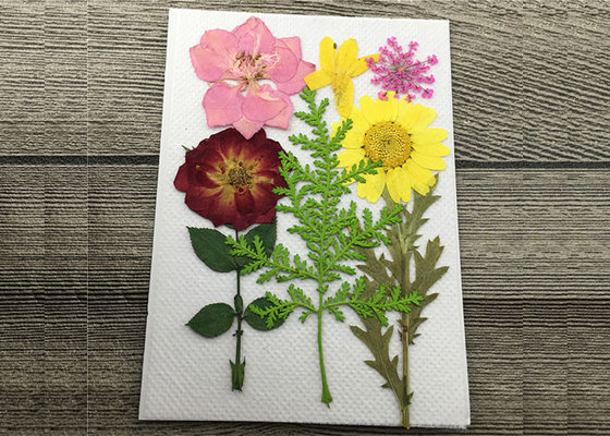Leaf Combination Dried Wildflower Bouquet For Children 'S Manual Activity