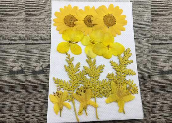 Fashion Pressed Flower Bouquet Home Ornaments For Manual Activity Material