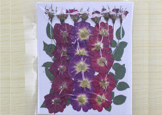 Flowers / Leaf Pressed Flower Bouquet Candle Ornaments For Manual Activity Stuff