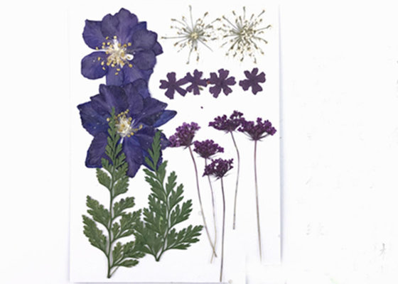 Dried Flower Wedding Bouquet Aromatherapy Candle Wax , Plant Specimens Dried Bridal Bouquet