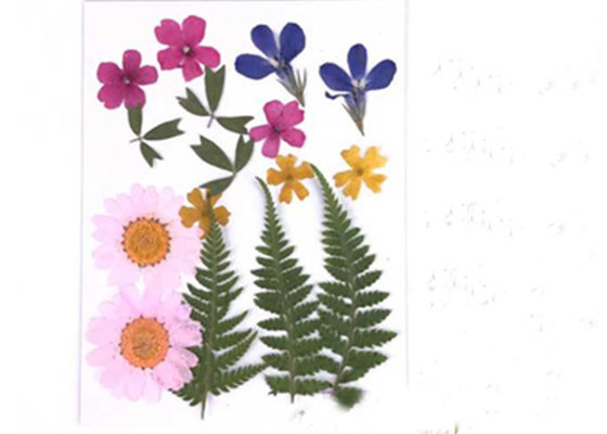 Raw Material Pressed Flower Bouquet Candle Ornaments For DIY Accessories