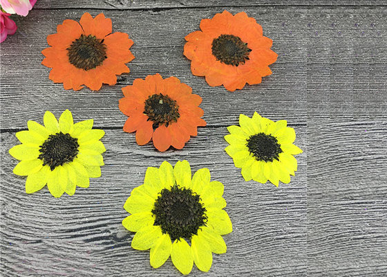 Beautiful Dried Flower Art Sun Flowers Diameter 5 CM For Postcard Handmade