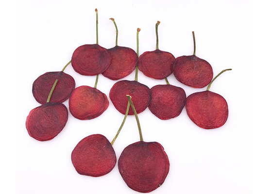 Fruit / Vegetable Specimens Dried Flower Art For Kindergarten Teaching Material
