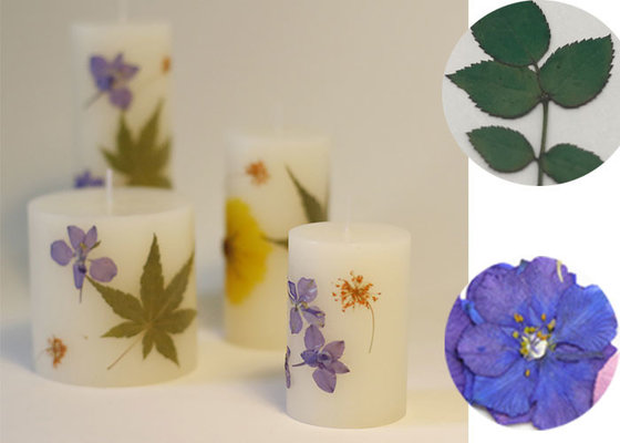 Aroma Decorative Pressed Flower Gifts Material Green Plant Epoxy Embossed Specimens