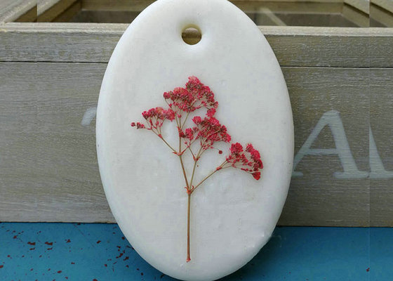 Babys Breath Pressed Flower Gifts Material True Plants For Thanksgiving