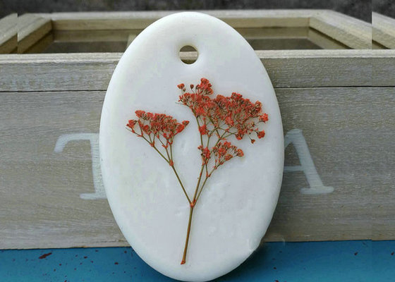Babys Breath Pressed Flower Gifts Material True Plants For Thanksgiving