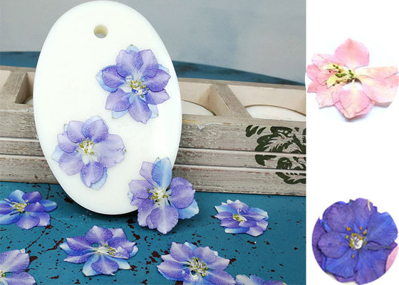 Lace Pressed Flower Gifts True Plants Color Optional For Aroma Wax Home Decoration