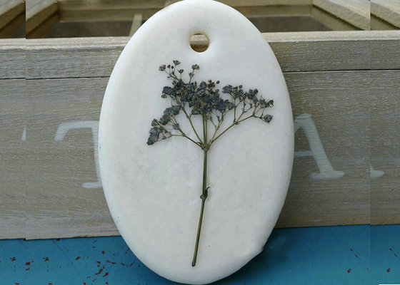 Raw Material Dried Flower Petal Crafts Specimens For Candle Wax Decoration