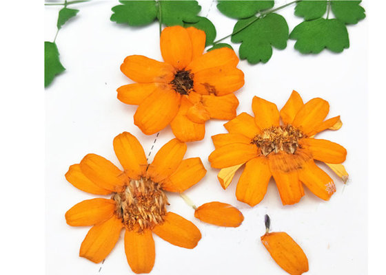Fashion Dried Flower Art 3D Decorative Painting For Dinning Room Display