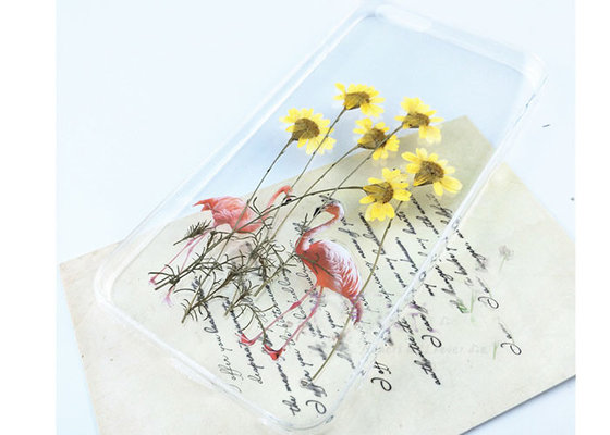 Unique Chrysanthemum Dried Flower With Stem , Dried Flower Art Specimens Plants