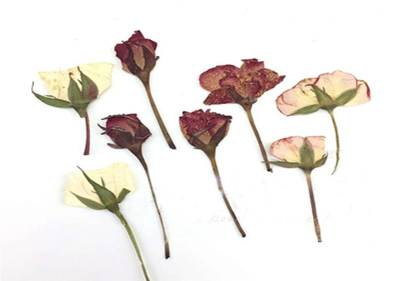 Valentine'S Day Real Pressed Flowers Side Pressed Rose Petal Material