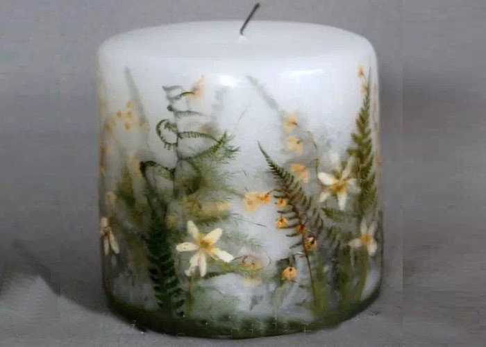 True Plant Colorful Preserving Pressed Flowers Candles Raw Material For Teaching