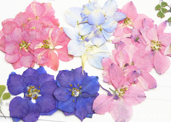 Colorful Larkspur Epoxy DIY Pressed Flowers For Wedding Fowers Pictures